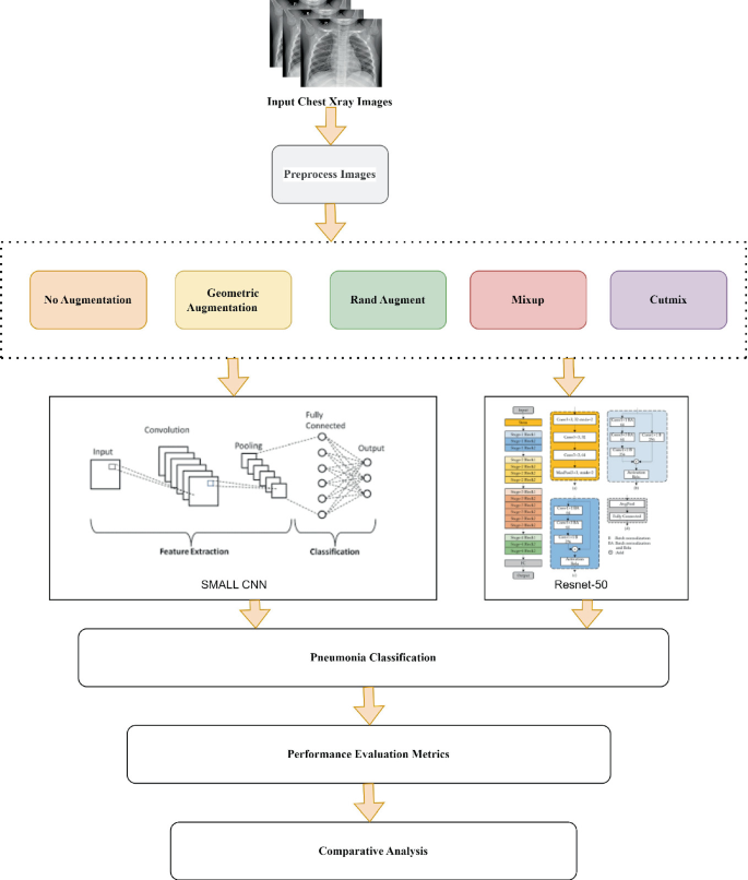Optimizing Pneumonia Detection from Scarce Chest X-Ray Data: A ...
