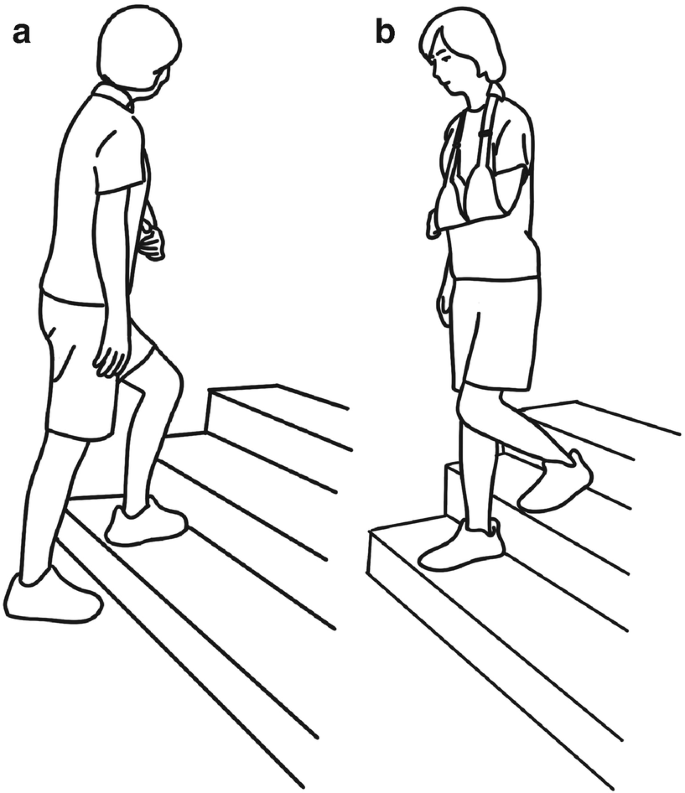 Others | SpringerLink