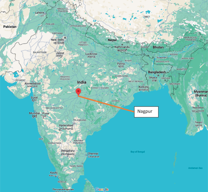 The India Smart City Mission Program | SpringerLink