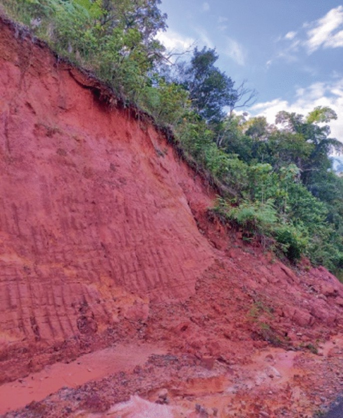 Mitigation of Micro and Macro-Landslides—A Case Study | SpringerLink