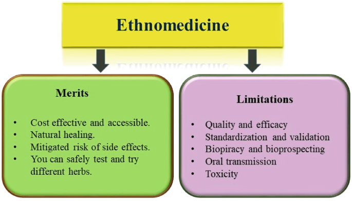 Some Potential Traditional Ethnomedicinal Plants Among the Tribals of ...