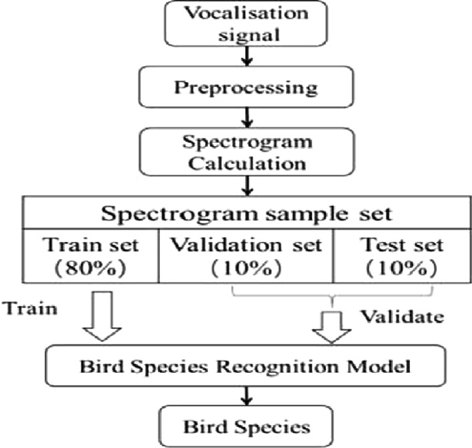 Identification of Bird Species Through Audio Signal Processing Using Neural Network | SpringerLink