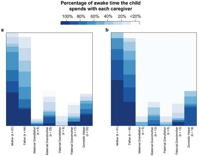 The Who, What, and How of Caregiving in Singapore | SpringerLink