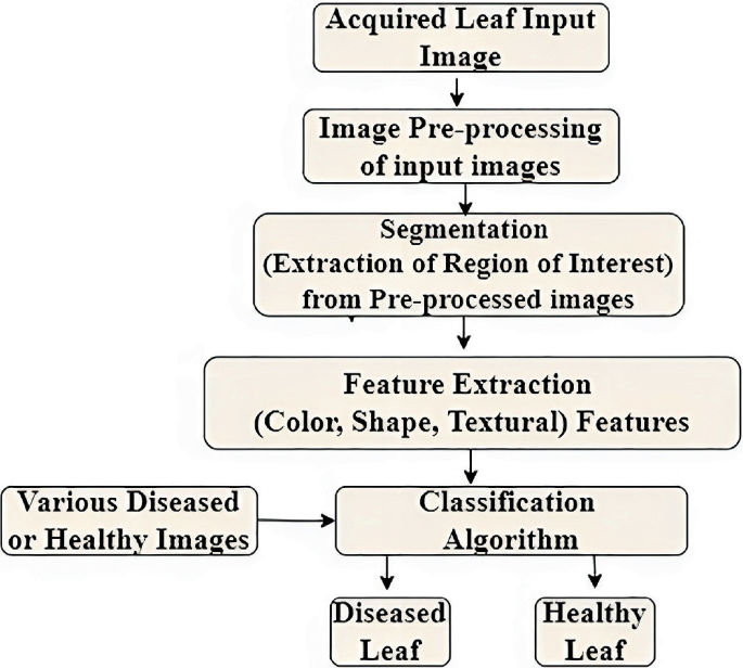 A Deep Dive into Modern Approaches for Plant Disease Detection, with a ...