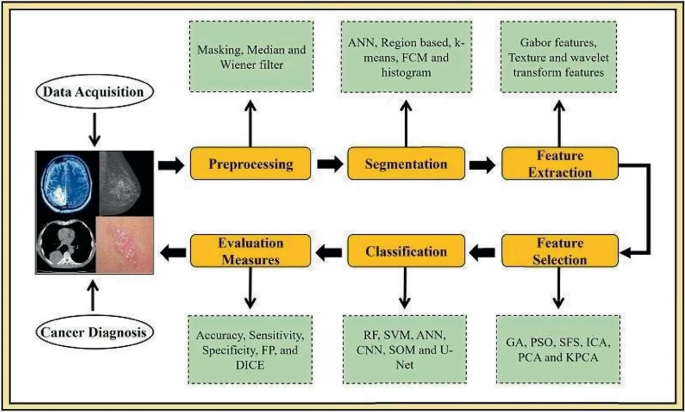 A Novel Deep Learning Technique Inspired by Biomedicine for the Diagnosis of BL Cancer ...