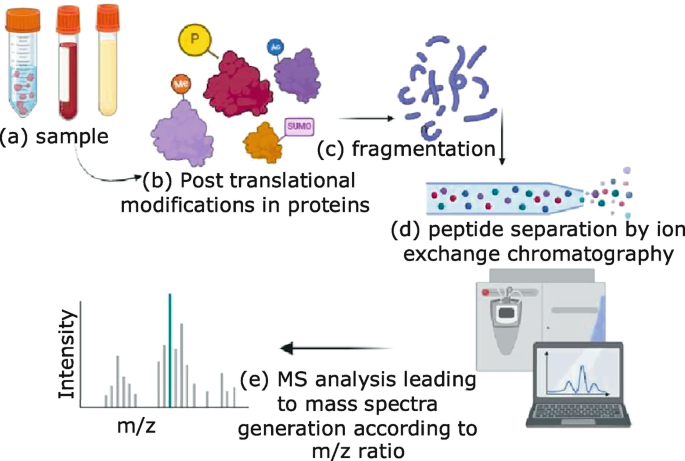 Multi-omics Approach Towards Cancer Therapy | SpringerLink