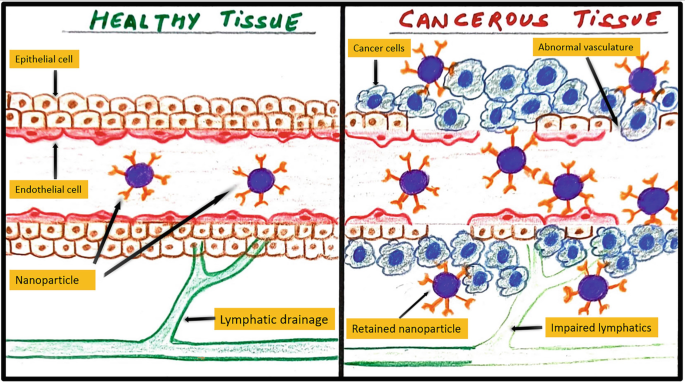 Nanoparticle-Mediated Cancer Chemotherapy | SpringerLink