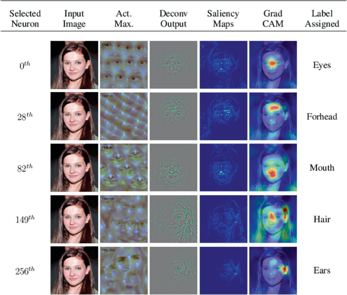 Hidden Layer Visualization for Convolutional Neural Networks: A Brief Review | SpringerLink