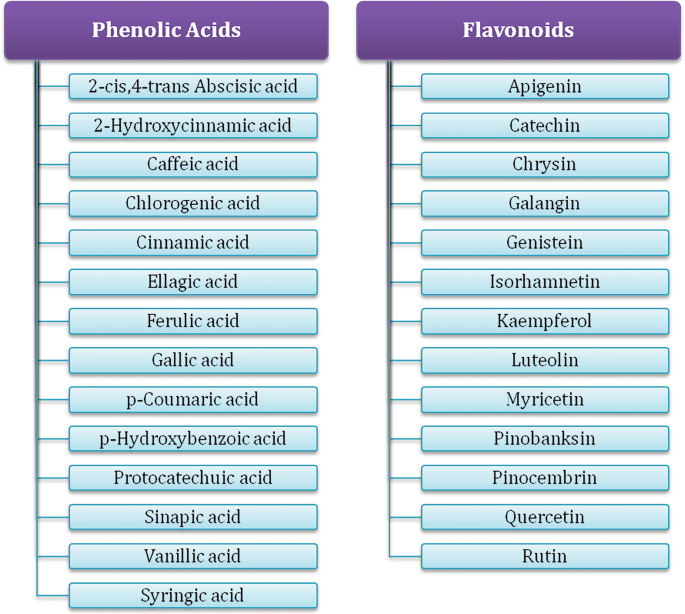 Phenolic and Mineral Contents in Honey and Their Associated Health ...