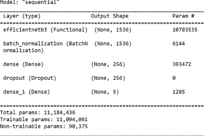 Diabetic Retinopathy Multistage Classification Using EfficientNetB3 Model | Springer Nature Link ...