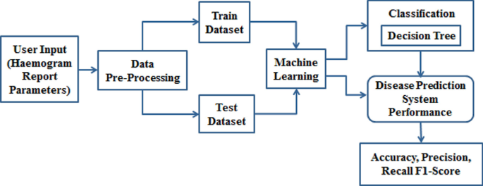 Blood Disease Detection System Based on Haemogram Report Using Decision ...