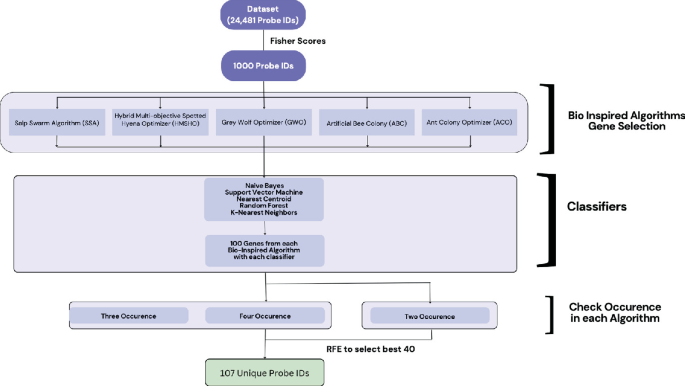 Integrative Analysis of Cancer Gene Expression Using Bio-Inspired ...