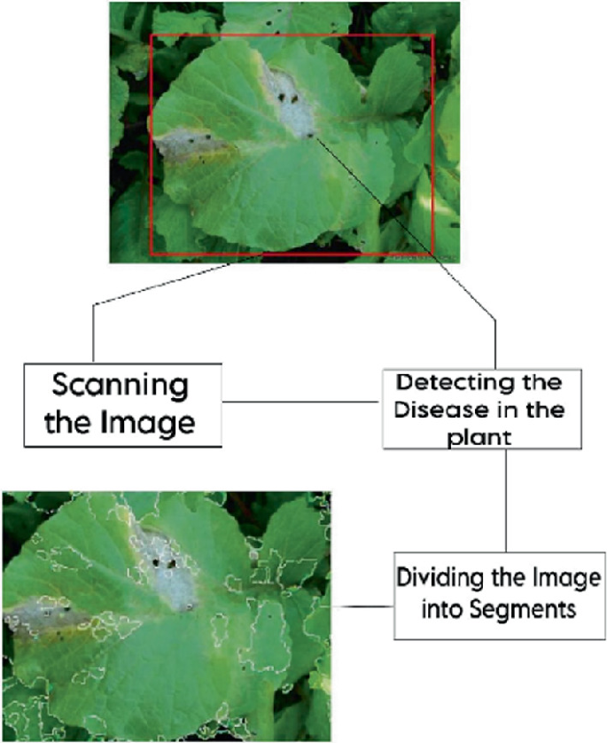 An Overview of Optimization Methods in Leaf Defect Detection | SpringerLink