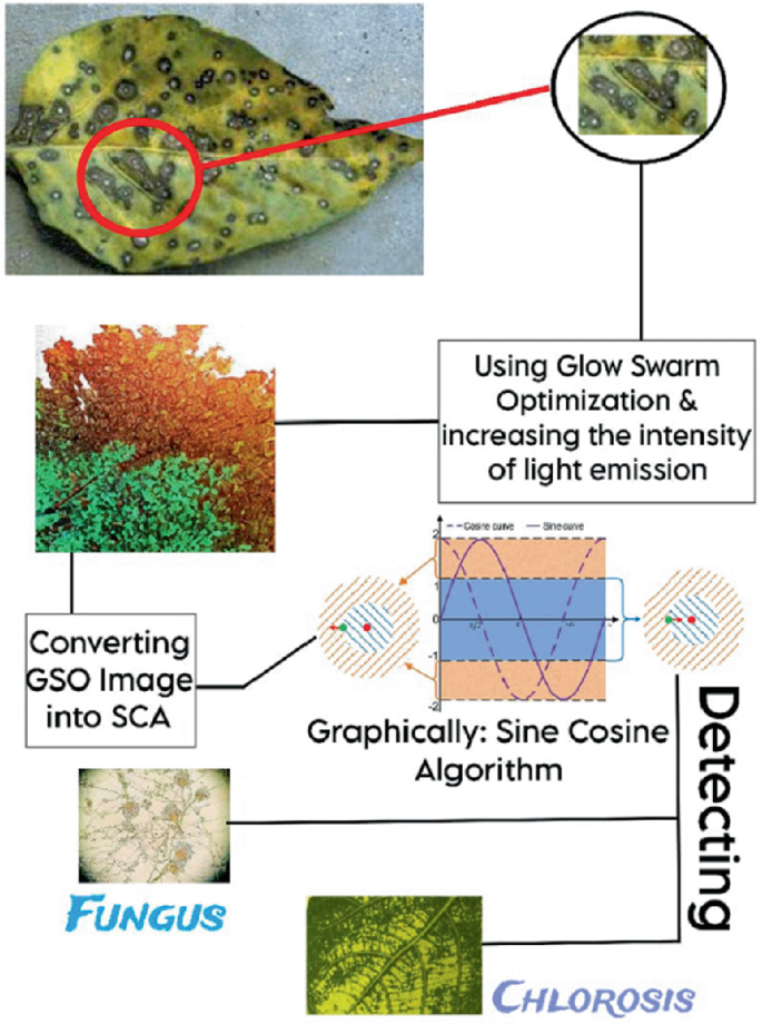 An Overview of Optimization Methods in Leaf Defect Detection | SpringerLink