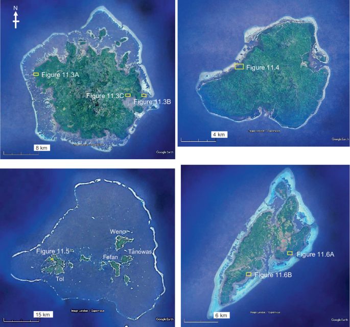 The Present and Future of Micronesian Mangrove Forests in the Context ...