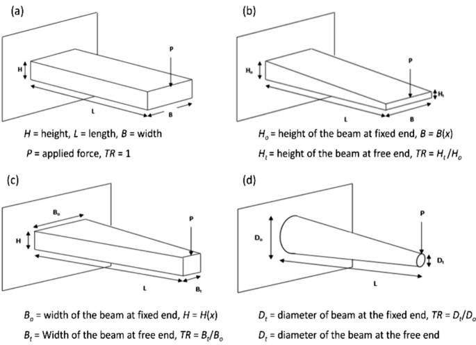 A Comparative Study of Cantilever Profiles for MEMS Applications ...