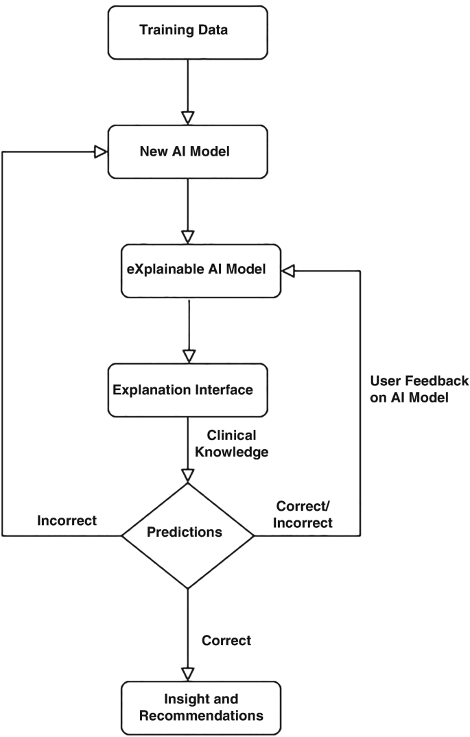 Unveil the Black-Box Model for Healthcare Explainable AI | SpringerLink