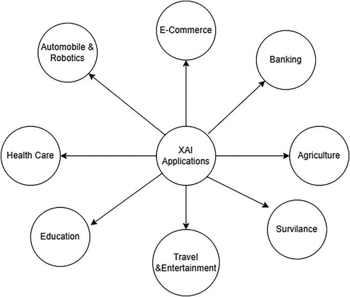 Patient Data Analytics Using XAI: Existing Tools and Case Studies | SpringerLink