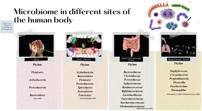Host–Microbiome Interactions | SpringerLink
