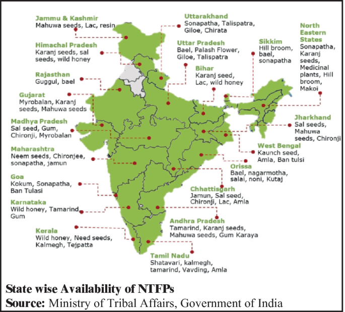 The Future of Indian Forests: The Outlook 2050 | SpringerLink