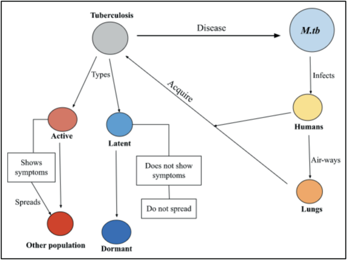 Exploring Knowledge Graphs (KG): A Comprehensive Overview | SpringerLink