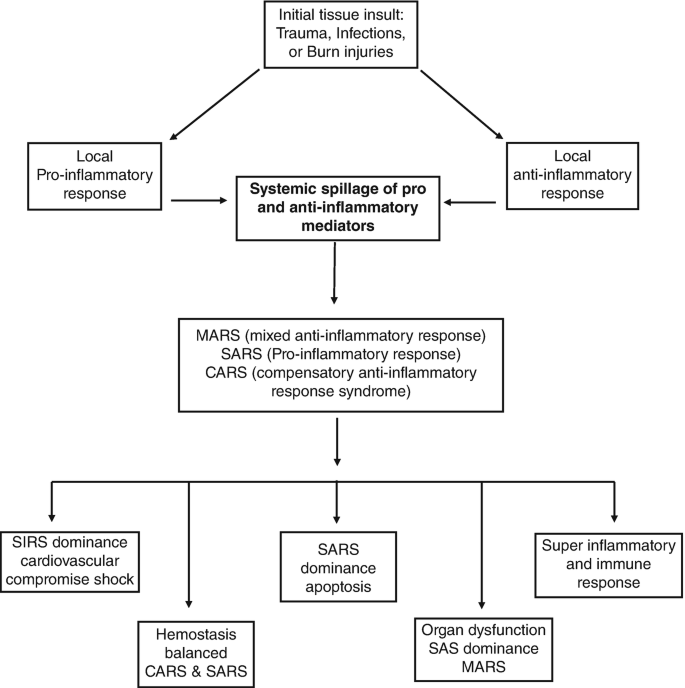 Urosepsis and Septic Shock: A Simple Infection Progressing to Complex ...