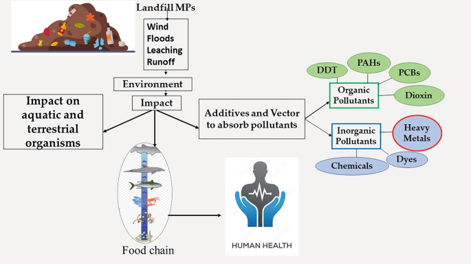 Microplastics in Landfill and Leachate | SpringerLink