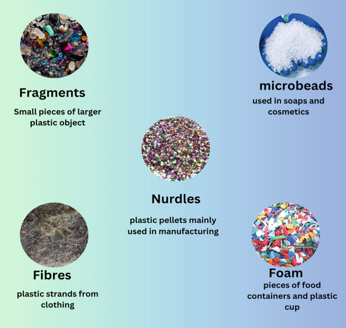 Microplastics in Crops | SpringerLink
