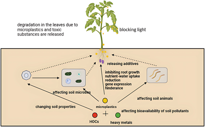 Microplastics in Crops | SpringerLink