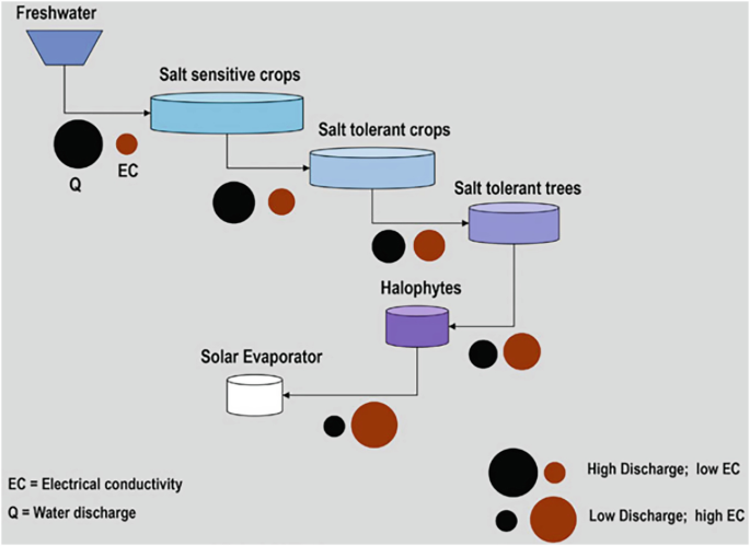 Use of Highly Saline Water Beyond Common Agricultural Crops | SpringerLink