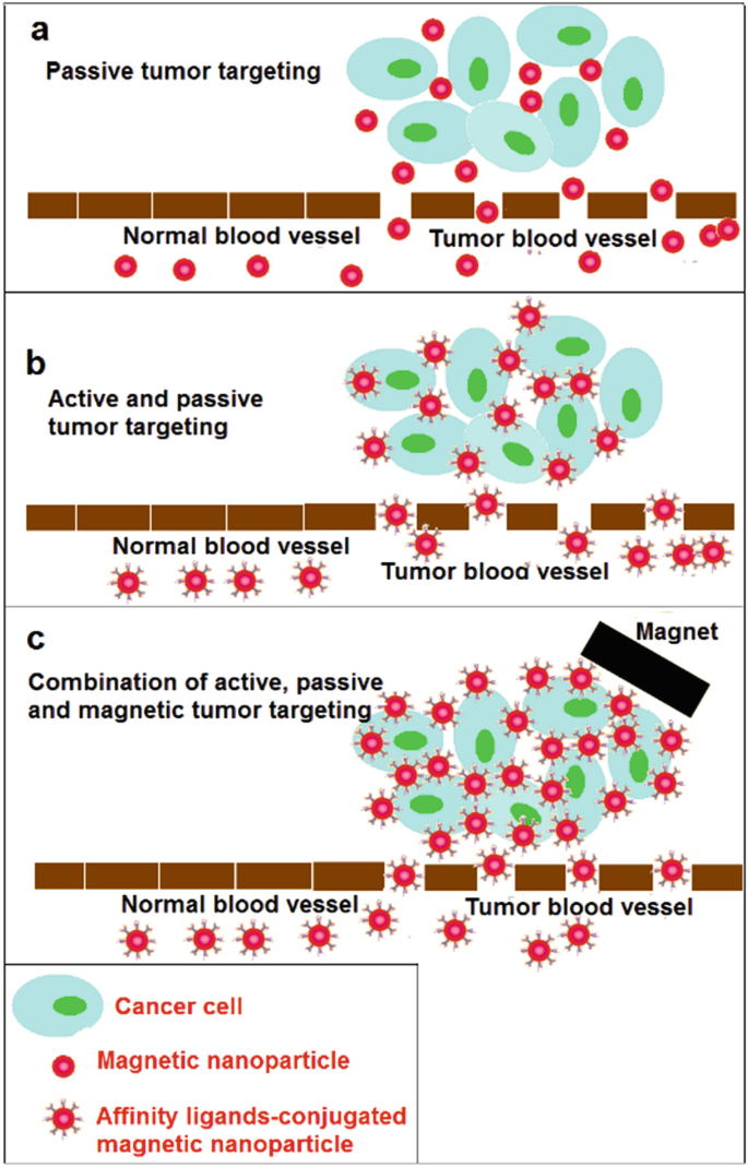 Advantages of Magnetic Iron Oxide Nanoparticles for Cancer Photothermal ...