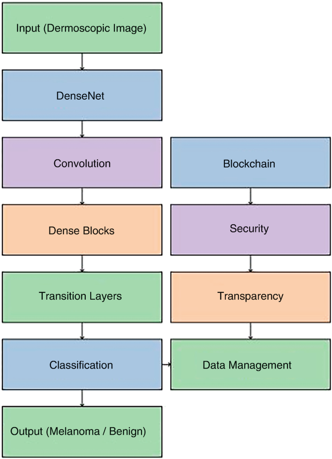 DenseNet Melanoma Classification in Blockchain-Driven Healthcare ...