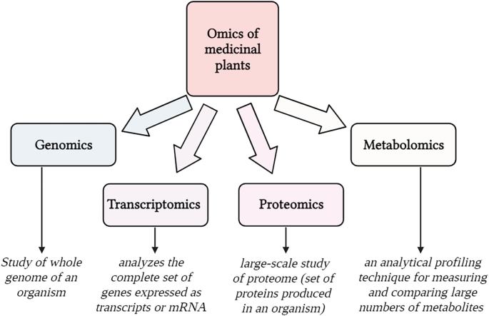 Functional Genomics of Medicinal Plants | SpringerLink