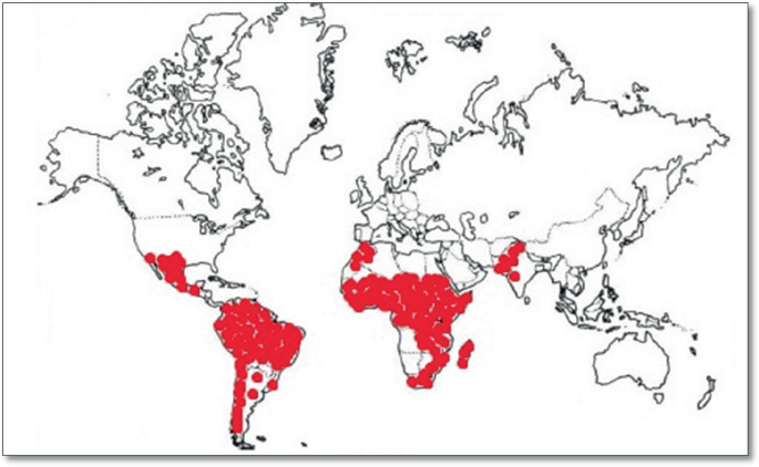 Tungiasis | SpringerLink