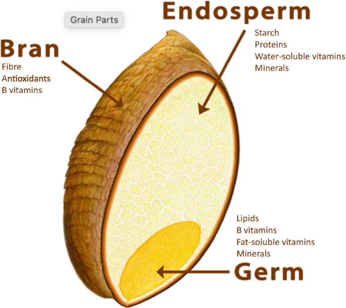 Sorghum Potential for Nutrition and Food Security | SpringerLink