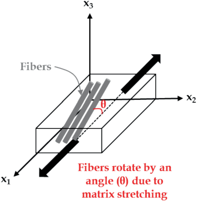 Future Directions in Skin Grafting | SpringerLink