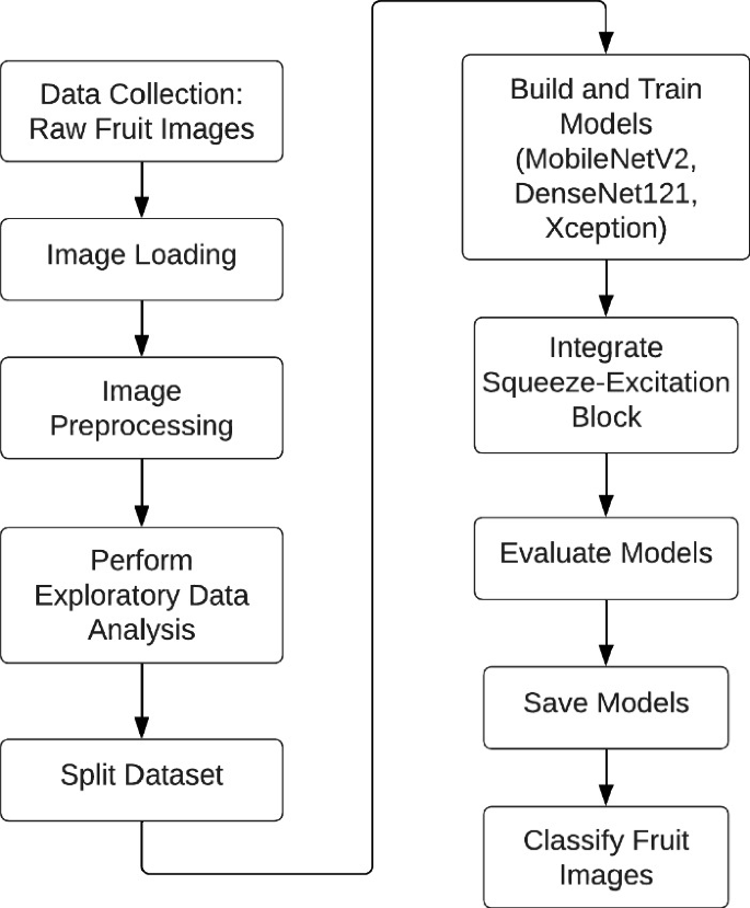 Enhancing Fruit and Vegetable Image Classification with Attention ...