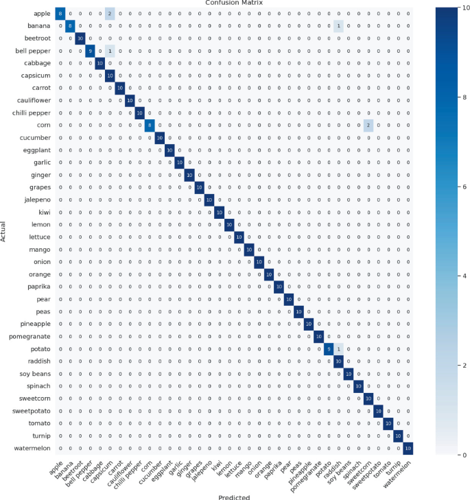 Enhancing Fruit and Vegetable Image Classification with Attention ...