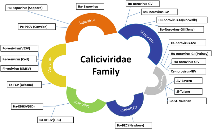 Sapovirus: A Prevalent Culprit for Childhood Gastroenteritis | SpringerLink