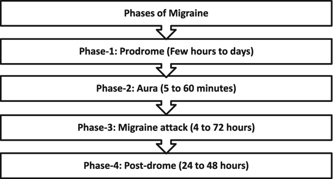 Lifestyle Modifications for the Management of Migraine Pain | SpringerLink