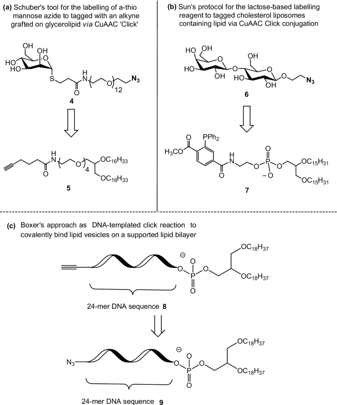 Click Chemistry in Lipid Modification | SpringerLink
