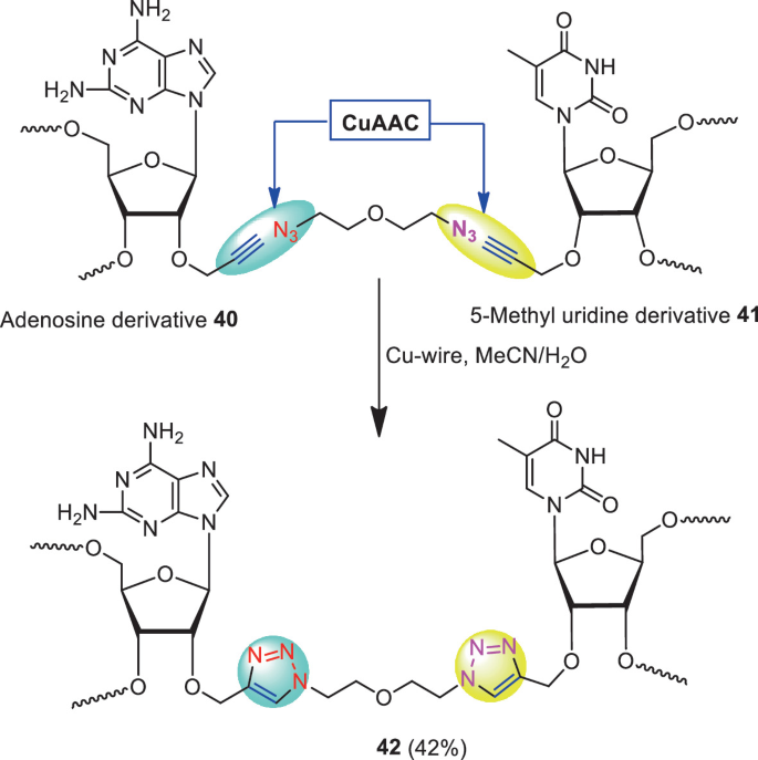 Click Chemistry in Nucleic Acids | SpringerLink
