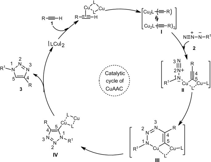 CuAAC ‘Click Chemistry’-Mediated Synthesis of 1,4-Disubstituted 1,2,3 ...