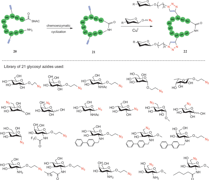 CuAAC ‘Click Chemistry’ in Synthesis of Peptides and Protein Conjugates ...