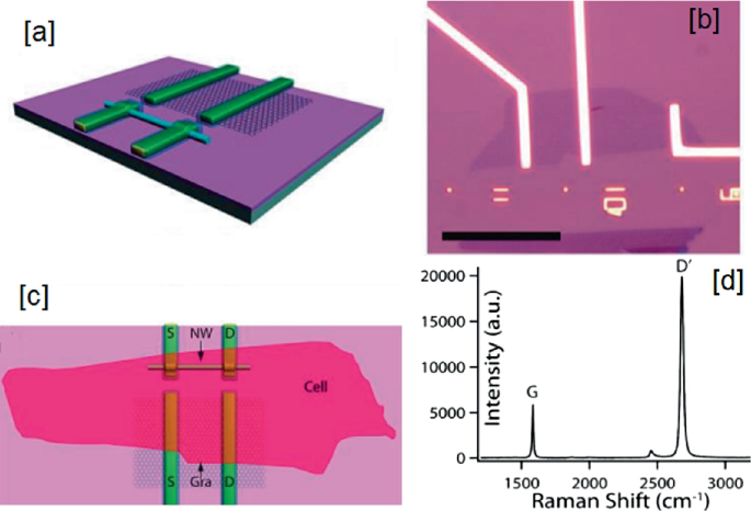 Graphene-Based Devices for Beyond CMOS Applications | Springer Nature Link