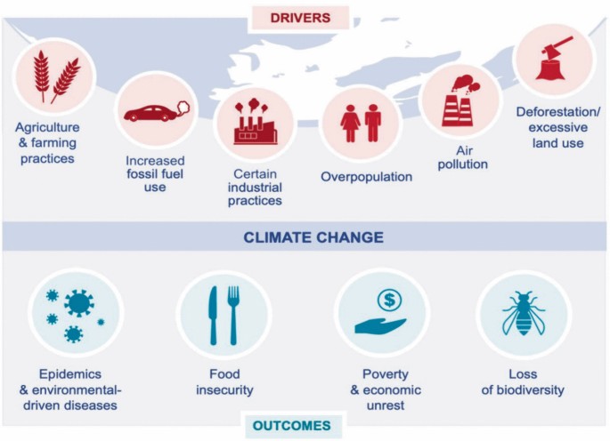 Climate Change, Environment, and One Health | SpringerLink