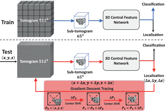 Central Feature Network Enables Accurate Detection of Both Small and Large Particles in Cryo ...