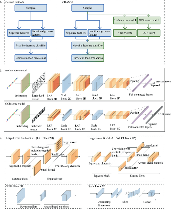 CHASOS: A Novel Deep Learning Approach for Chromatin Loop Predictions | SpringerLink