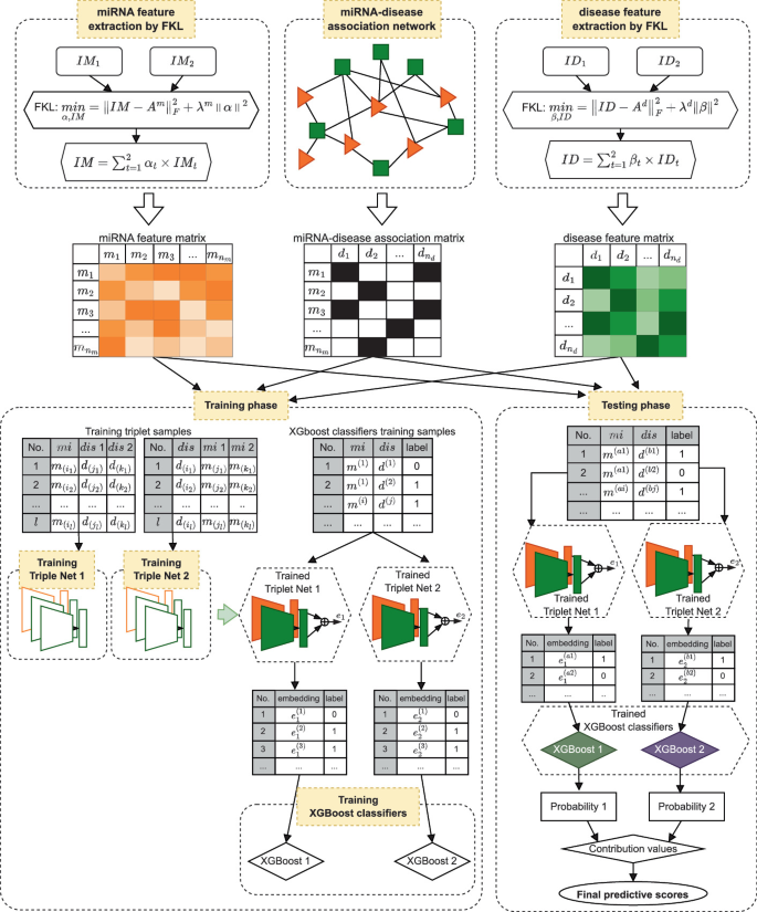 A Deep Metric Learning Based Method for Predicting MiRNA-Disease ...