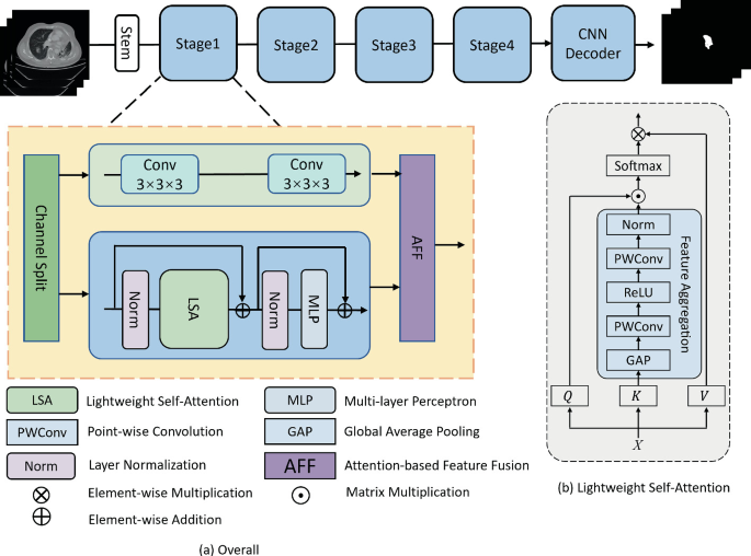 Hybrid CNN and Low-Complexity Transformer Network with Attention-Based Feature Fusion for ...